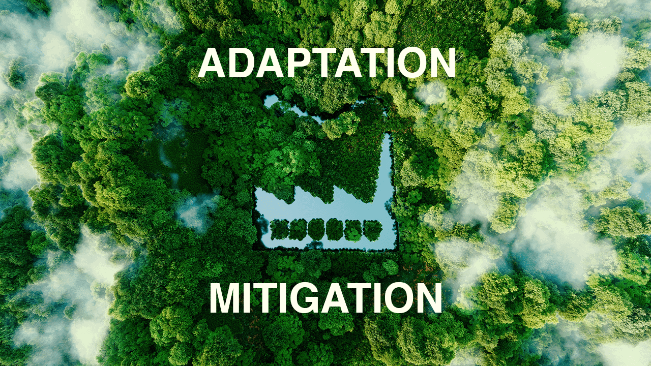 Climate change Adaptation or Mitigation? What should businesses focus on? - Horizon Pulp & Paper Ltd